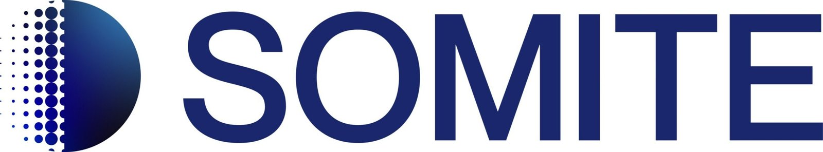 Somite AI Secures Series A Investment Round - Silicon Flash