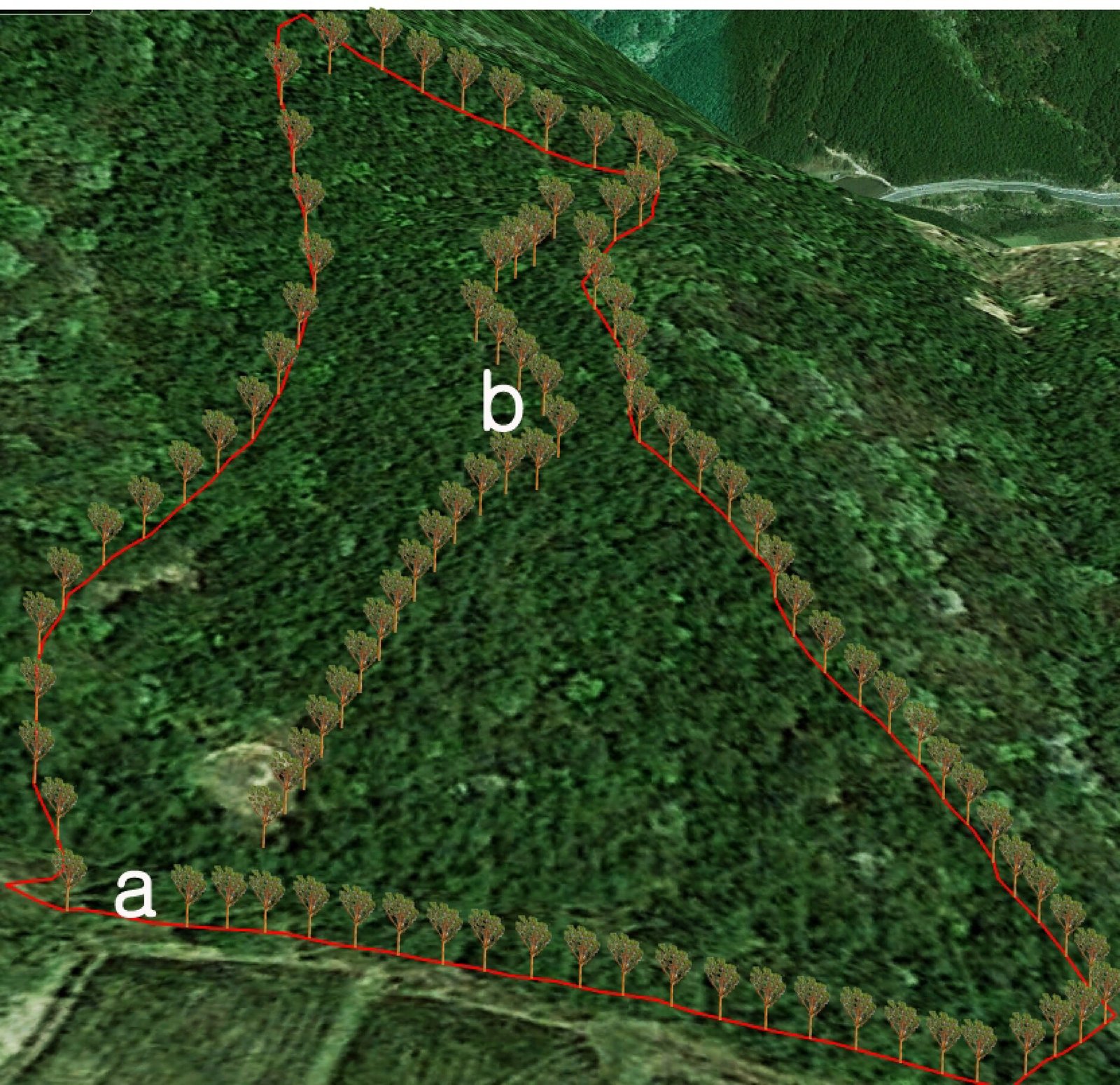 Harvesting Renewable Energy: The Sustainable Solution of Solar Trees ...