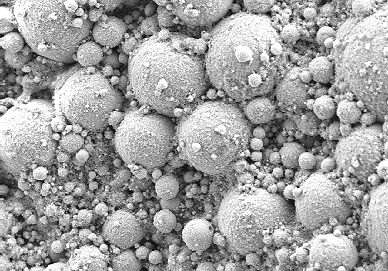 Metallic Biology: Bridging the Gap Between Living Tissue and Electronic ...